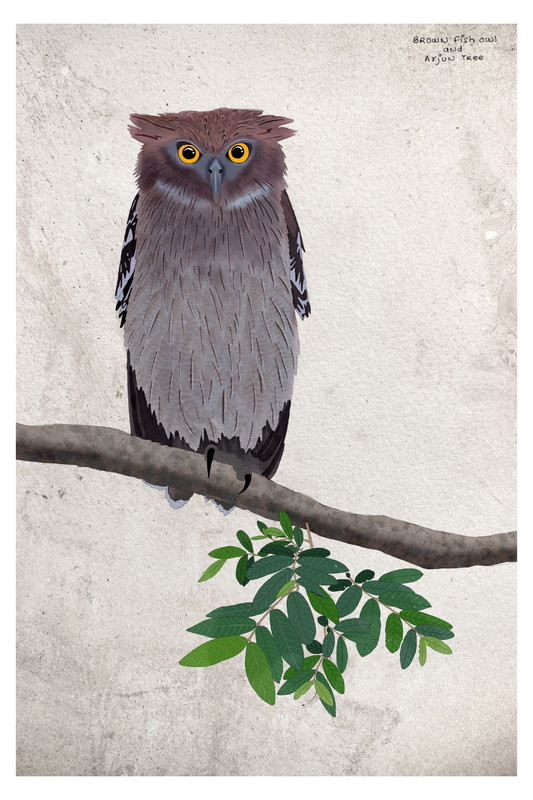 Brown Fish Owl by sambaarwadi - Wildlifekart is an online shop for ...
